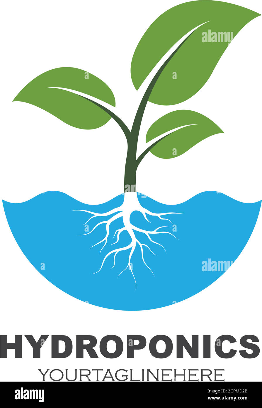 hydroponics logo vector illustration design Stock Vector Image & Art ...