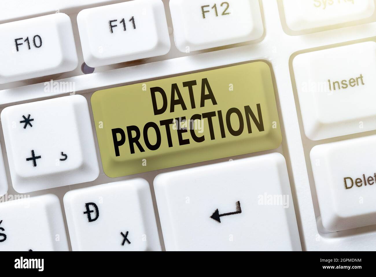 Writing displaying text Data Protection. Word Written on Protect IP ... Writing displaying text Data Protection. Word Written on Protect IP ...