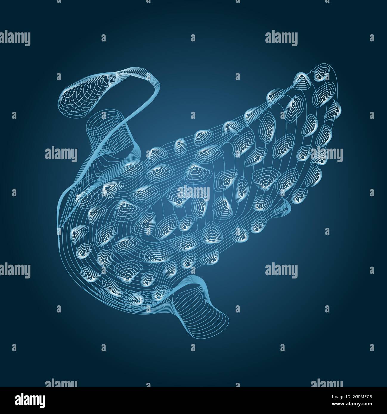 Bio Science Pancreas High Resolution Stock Photography and Images - Alamy