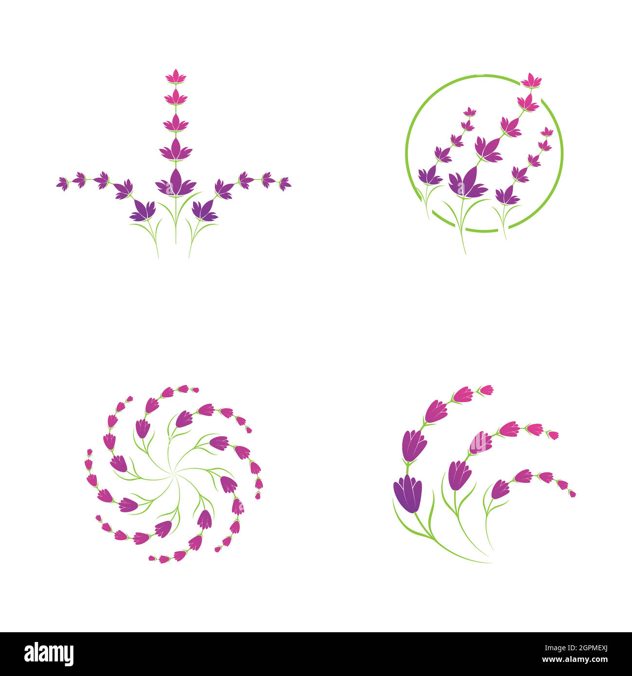 Lavender flower logo symbol template Stock Vector Image & Art - Alamy