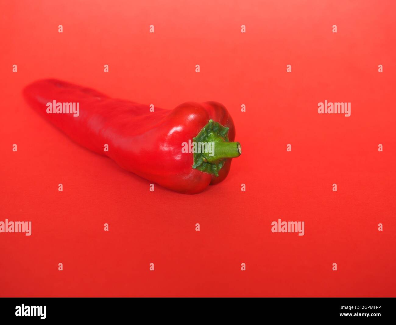 red peppers (scientific name Capsicum aka bell peppers) vegetables ...