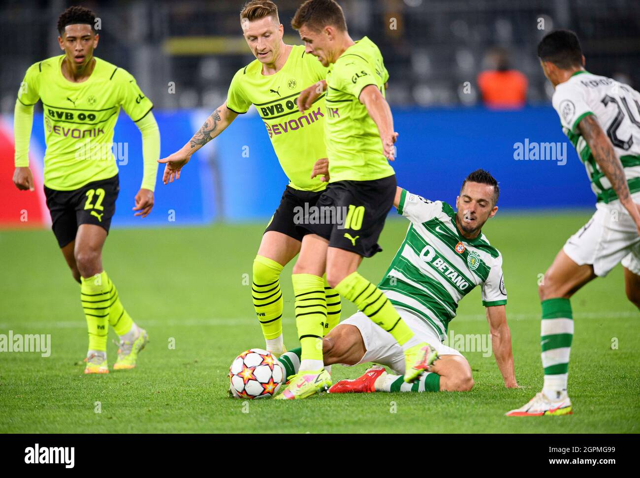 left to right Jude BELLINGHAM (DO), Marco REUS (DO), Thorgan HAZARD (DO ...