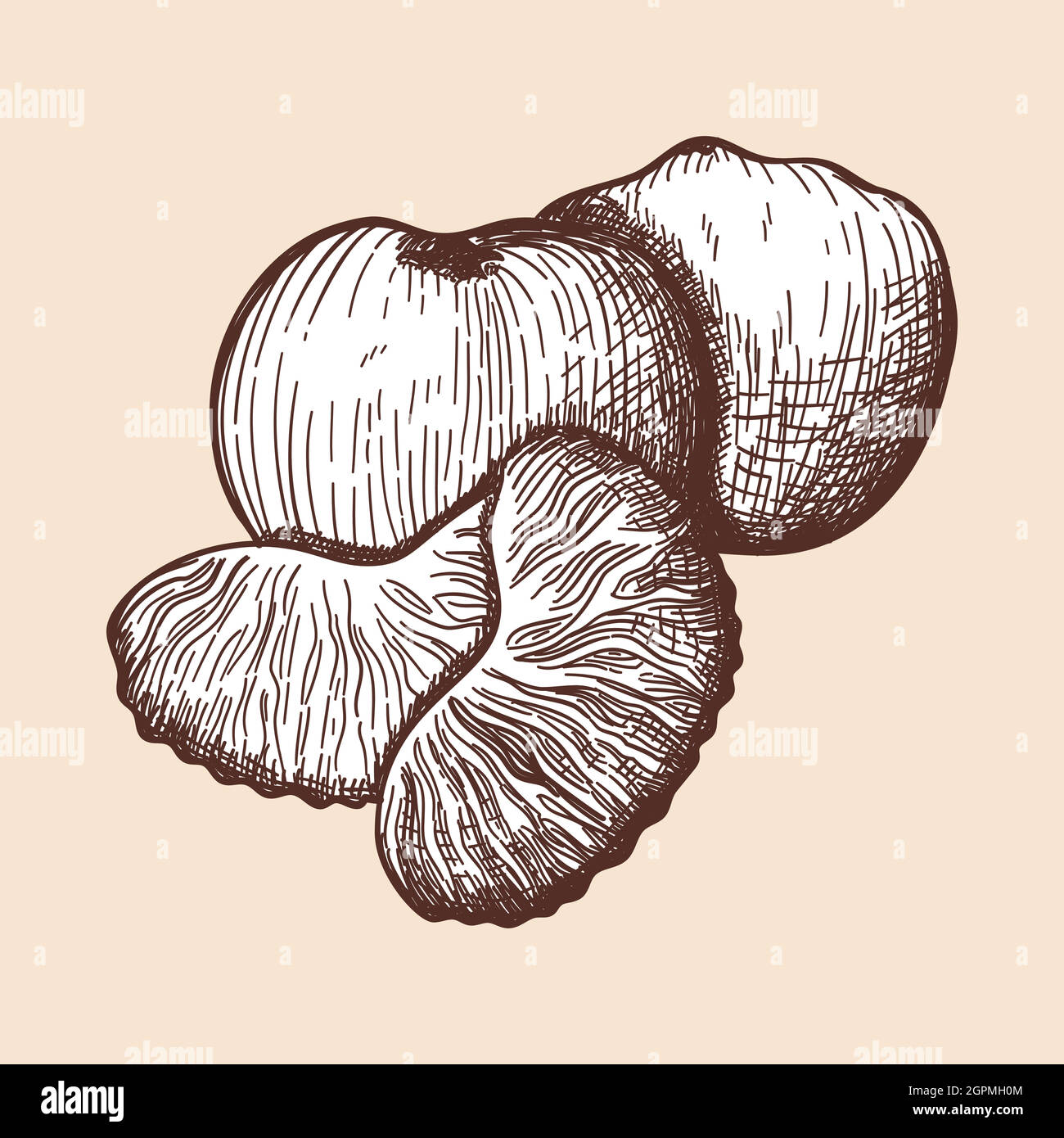 Icon Of Mandarin Stock Vector Image & Art - Alamy