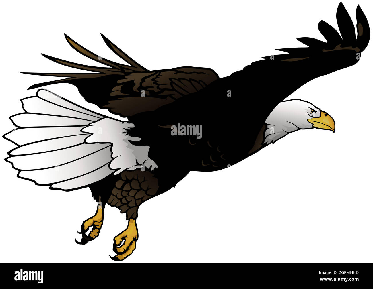 United states bald eagle Cut Out Stock Images & Pictures - Alamy
