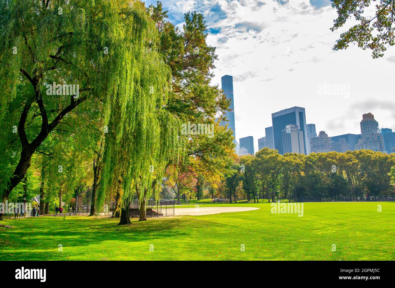Trees and buildings from Central Park in foliage season, New York City ...