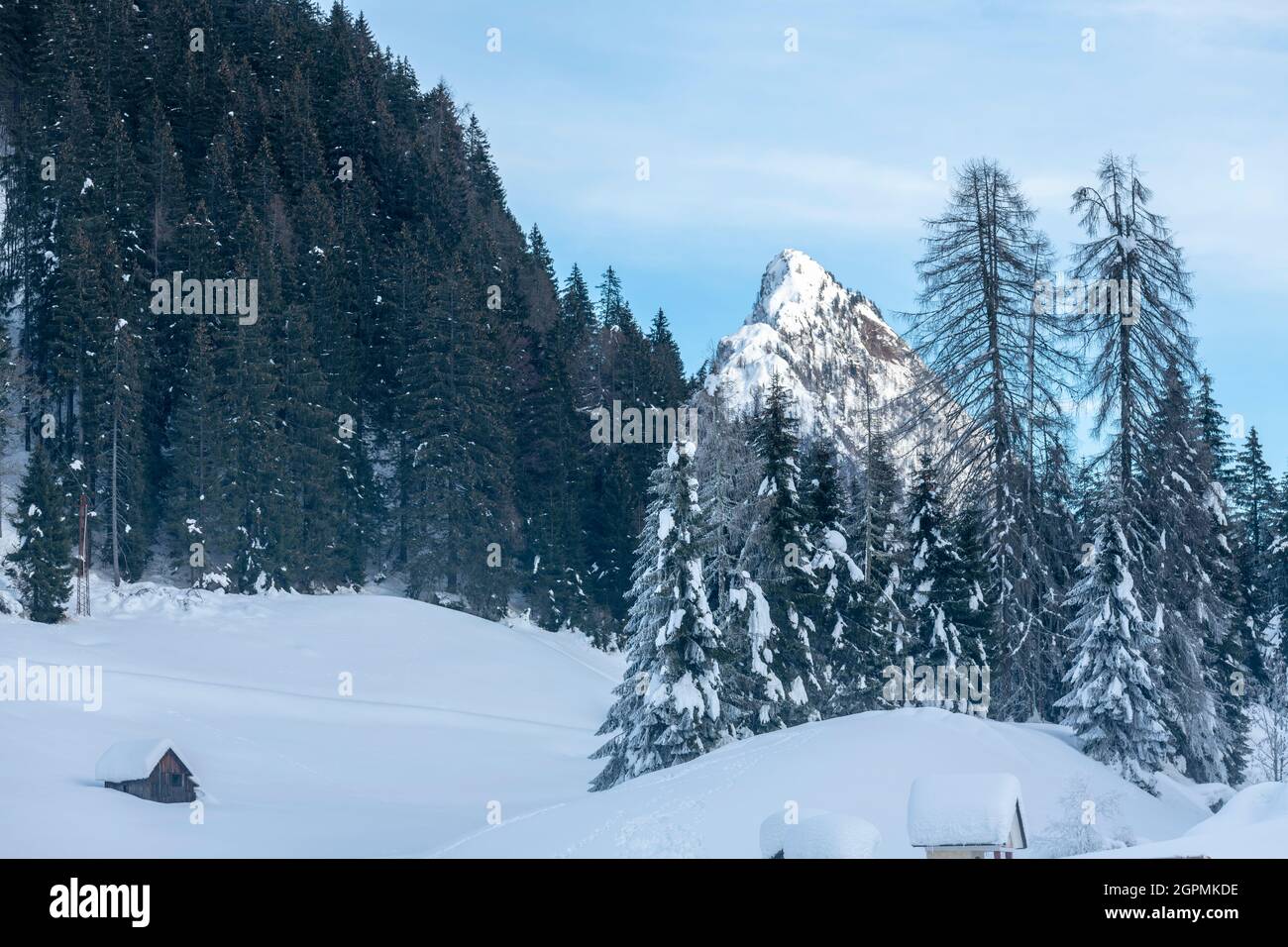 After the snowfall. Dusk on the Sappada plain. Magic of winter Stock ...