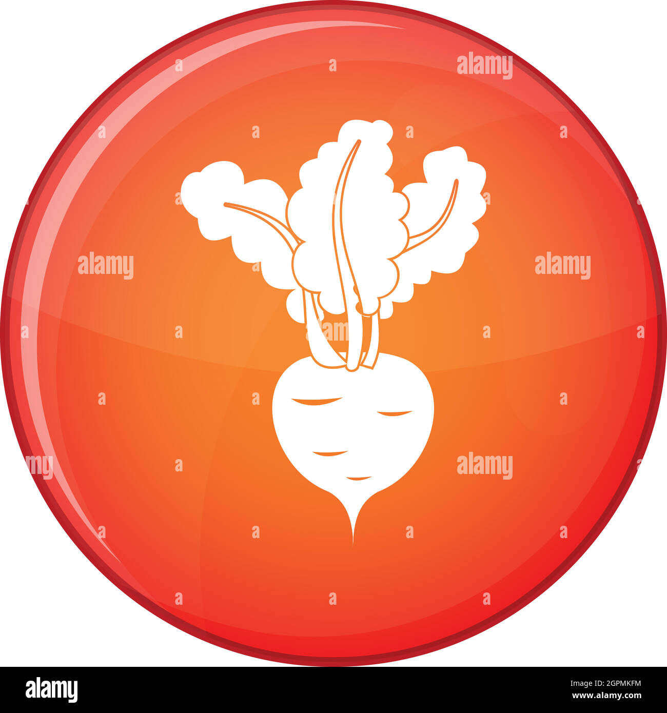 Beetroot illustration hi-res stock photography and images - Alamy