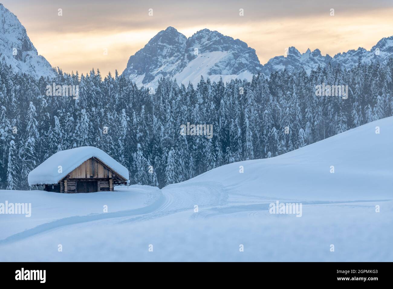 After the snowfall. Dusk on the Sappada plain. Magic of winter Stock ...