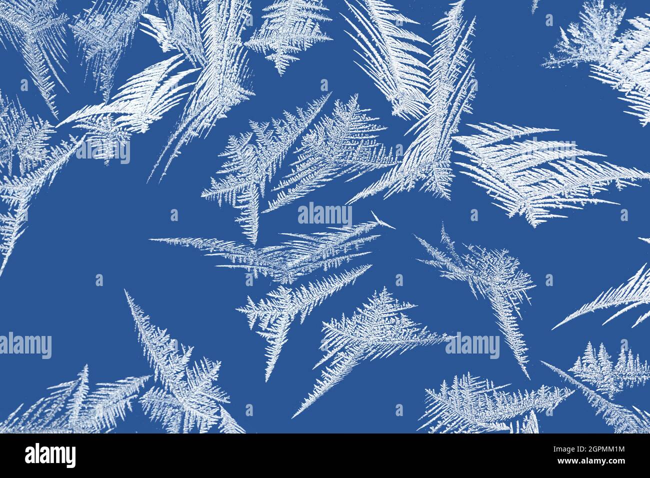 Beautiful frost patterns in the ice feather shape on frozen window as a ...