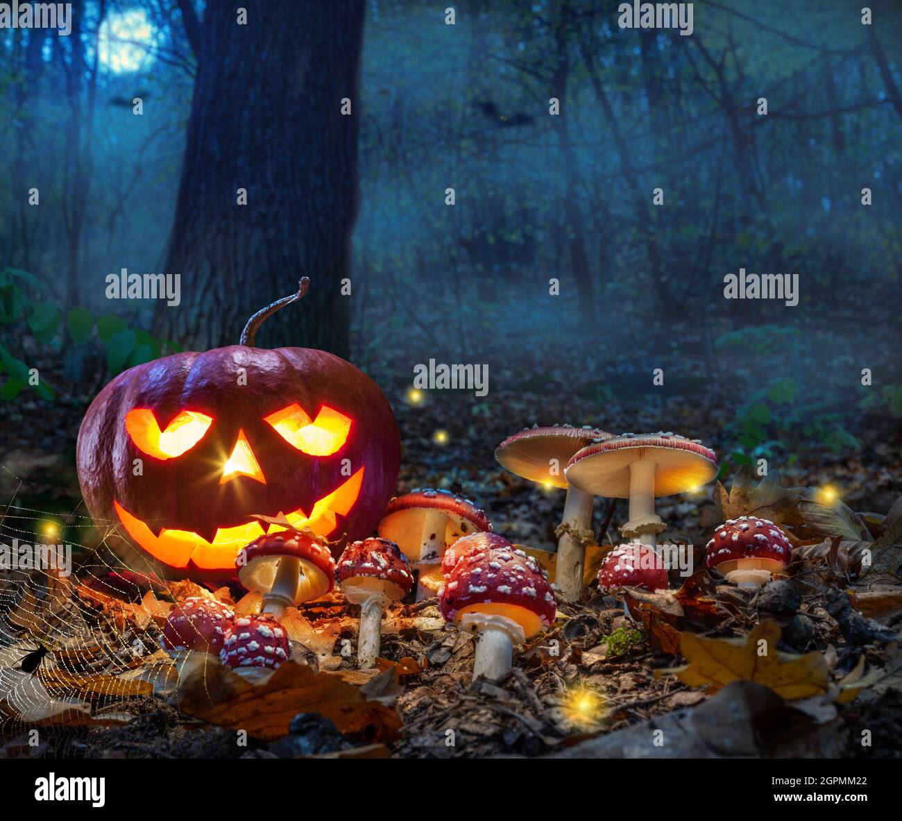 Fireflies glowing forest hi-res stock photography and images - Alamy