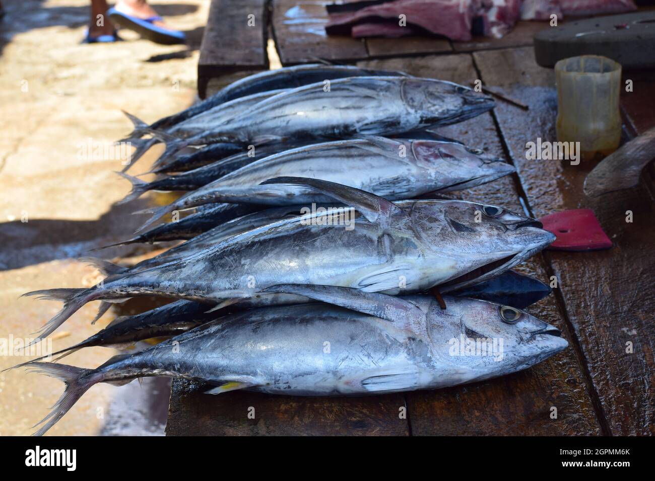 Fresh raw seafood Stock Photo - Alamy