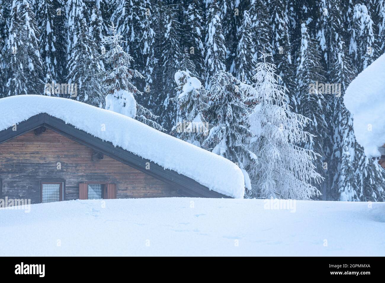 After the snowfall. Dusk on the Sappada plain. Magic of winter Stock ...