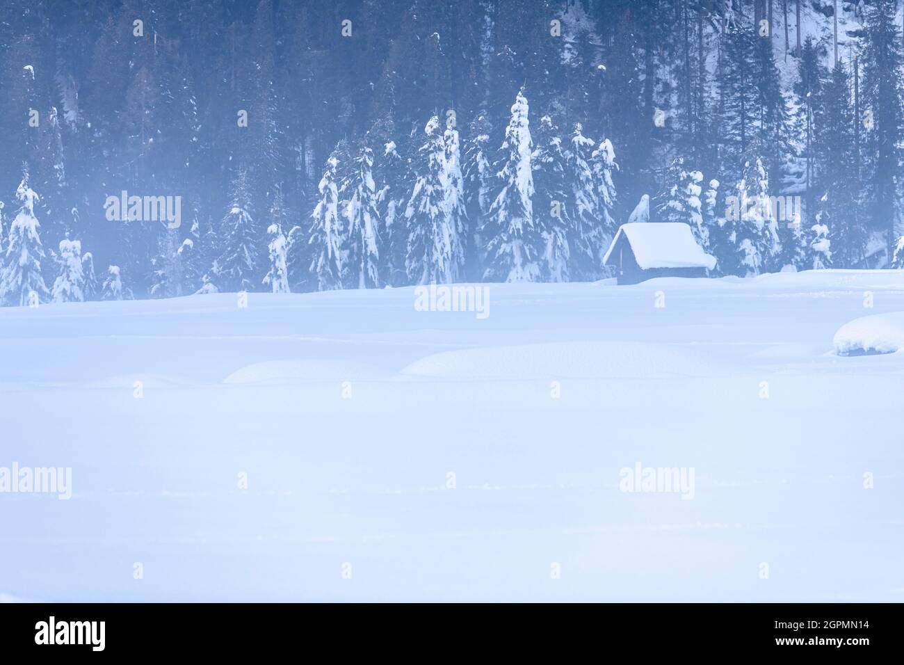 After the snowfall. Dusk on the Sappada plain. Magic of winter Stock ...