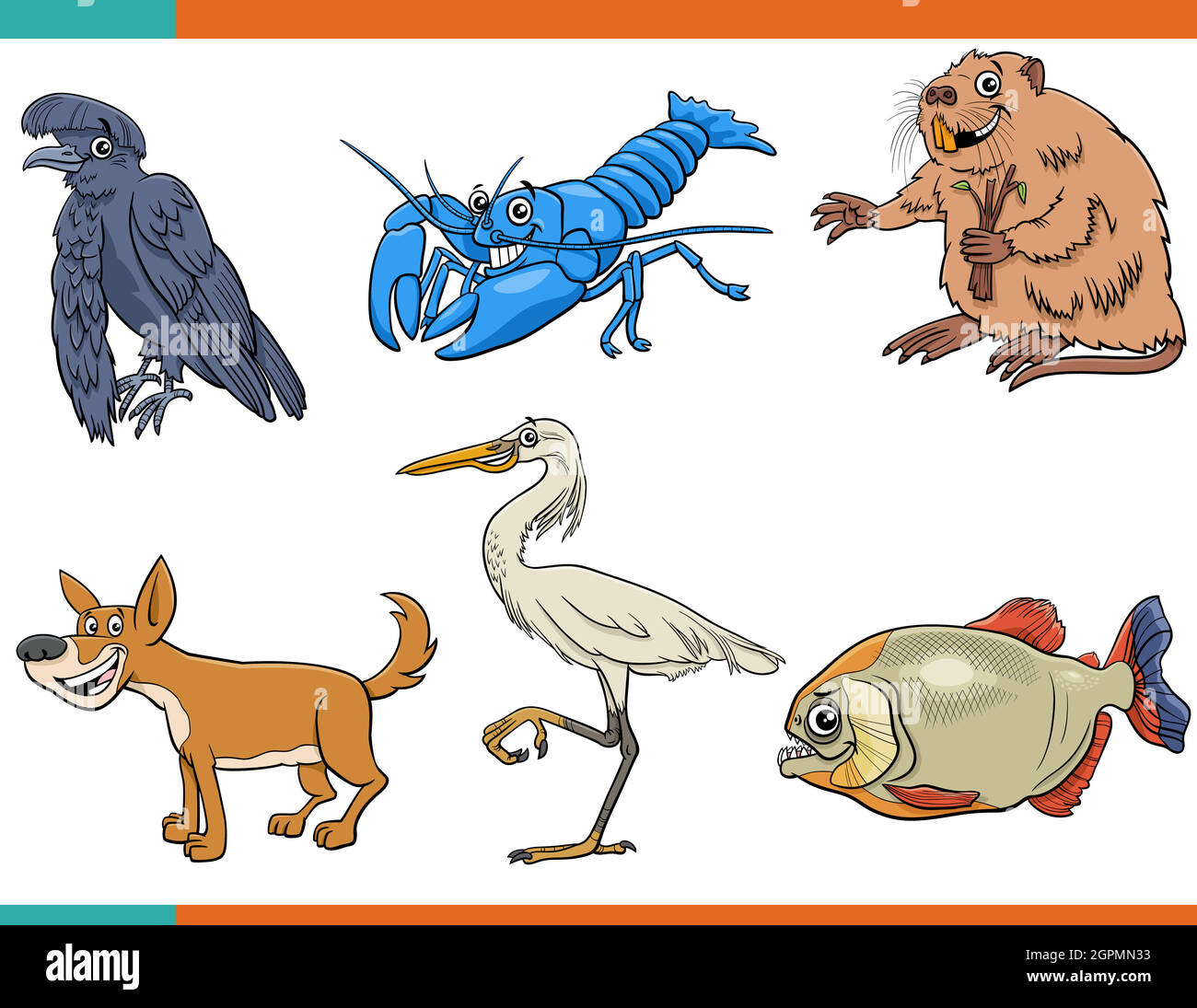 cartoon funny wild animals comic characters set Stock Vector Image ...