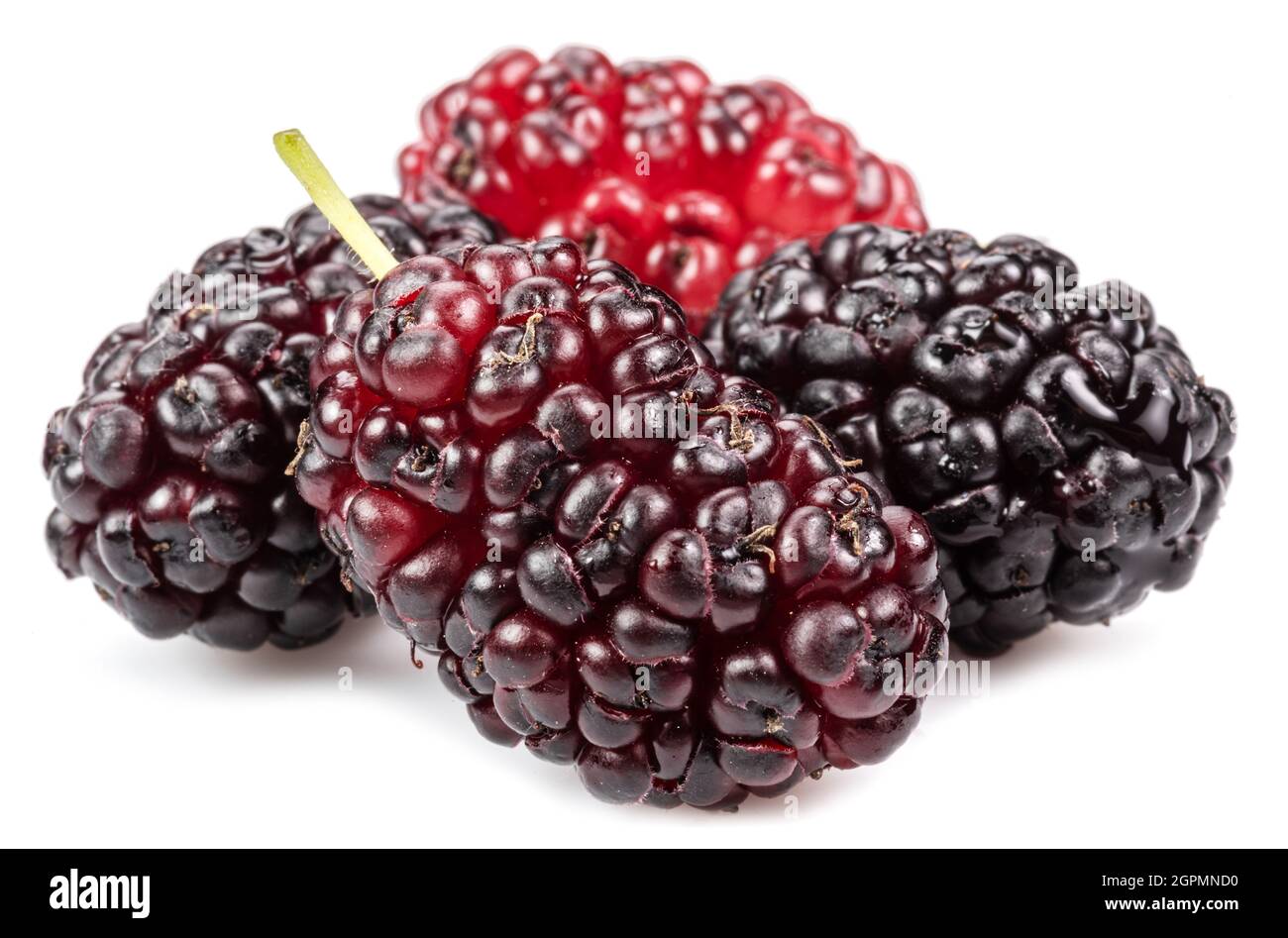 Fruits black mulberry on Cut Out Stock Images & Pictures - Alamy