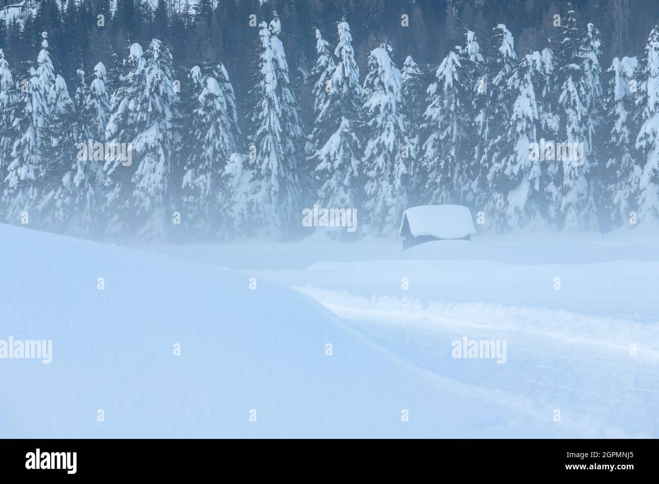 After the snowfall. Dusk on the Sappada plain. Magic of winter Stock ...