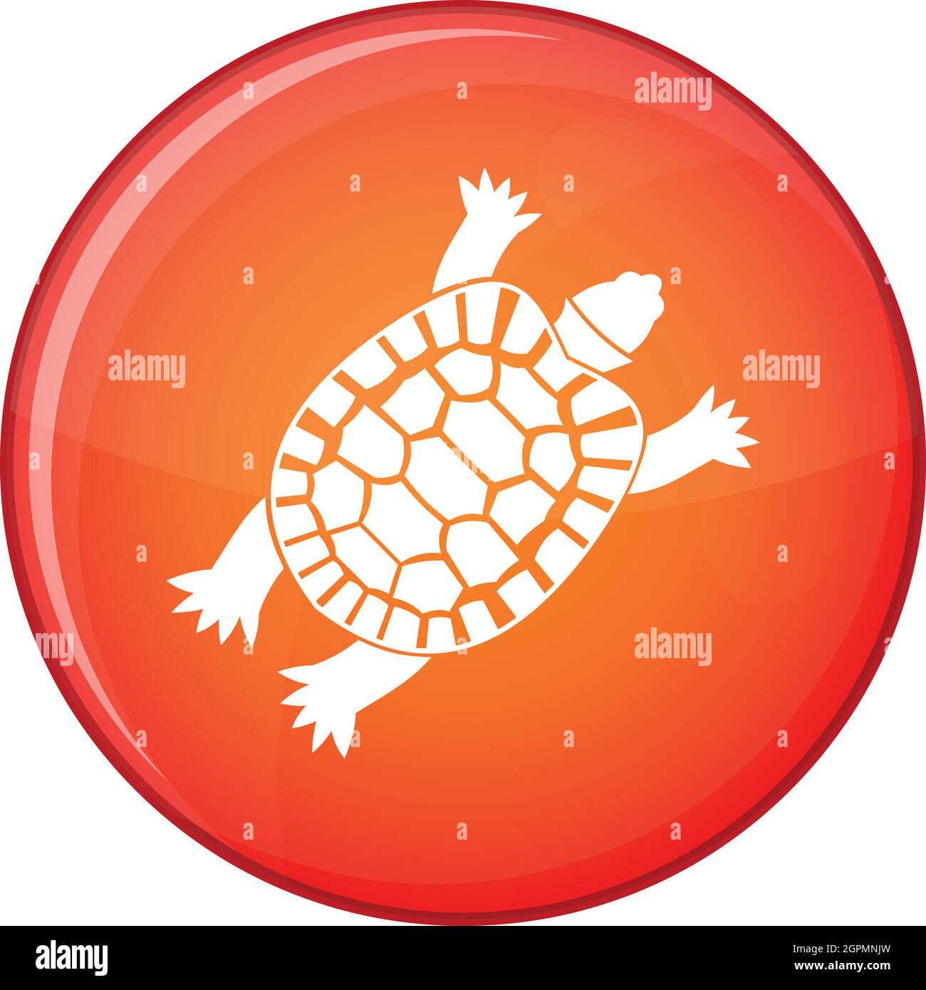 Land turtle Stock Vector Images - Alamy