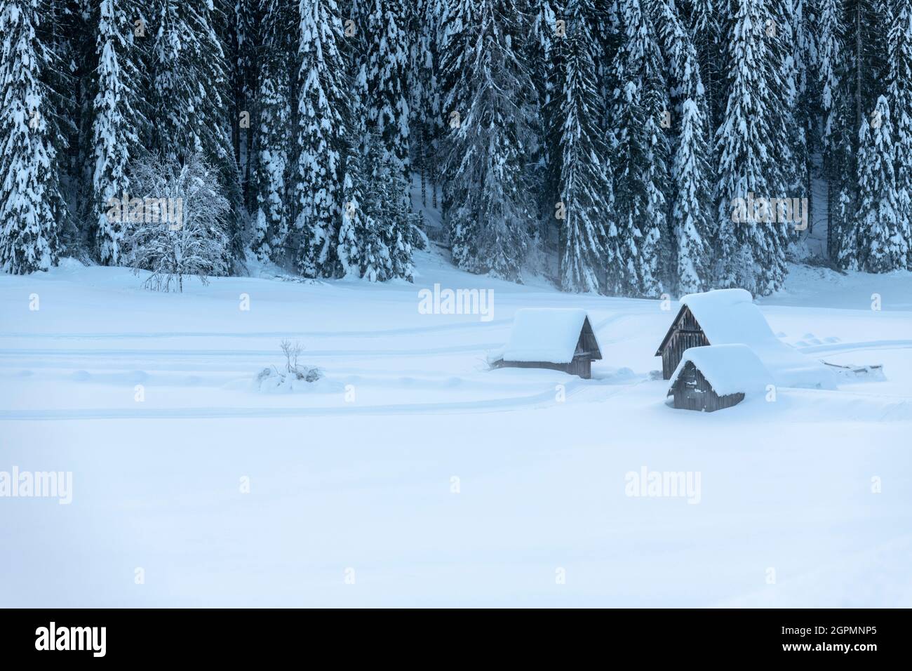 After the snowfall. Dusk on the Sappada plain. Magic of winter Stock ...