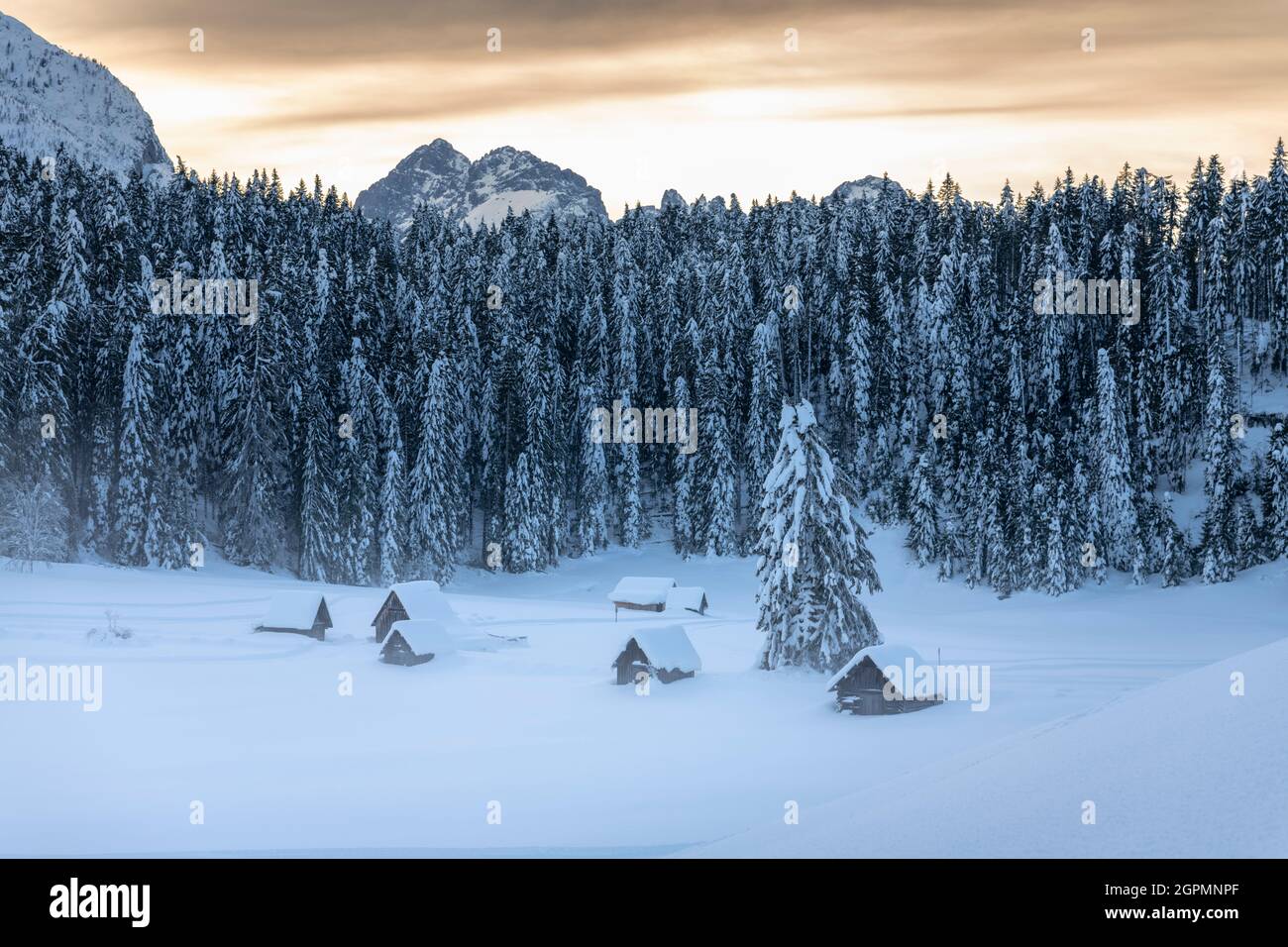 After the snowfall. Dusk on the Sappada plain. Magic of winter Stock ...