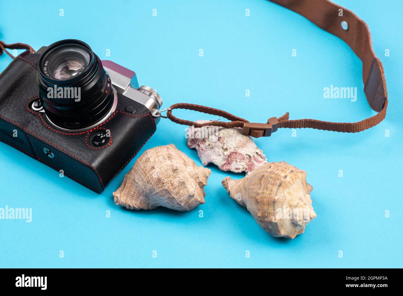 camera and seashells on a blue background.Background for the traveler ...