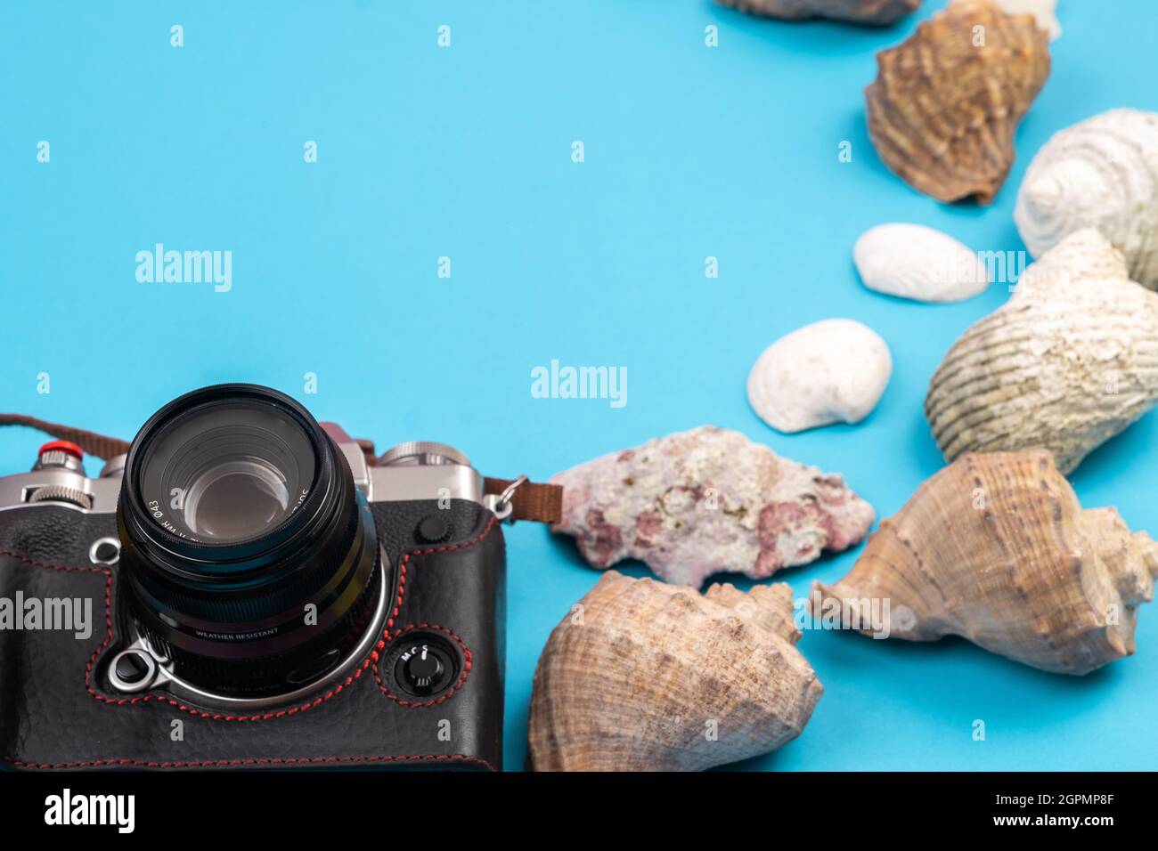 camera and seashells on a blue background.Background for the traveler ...