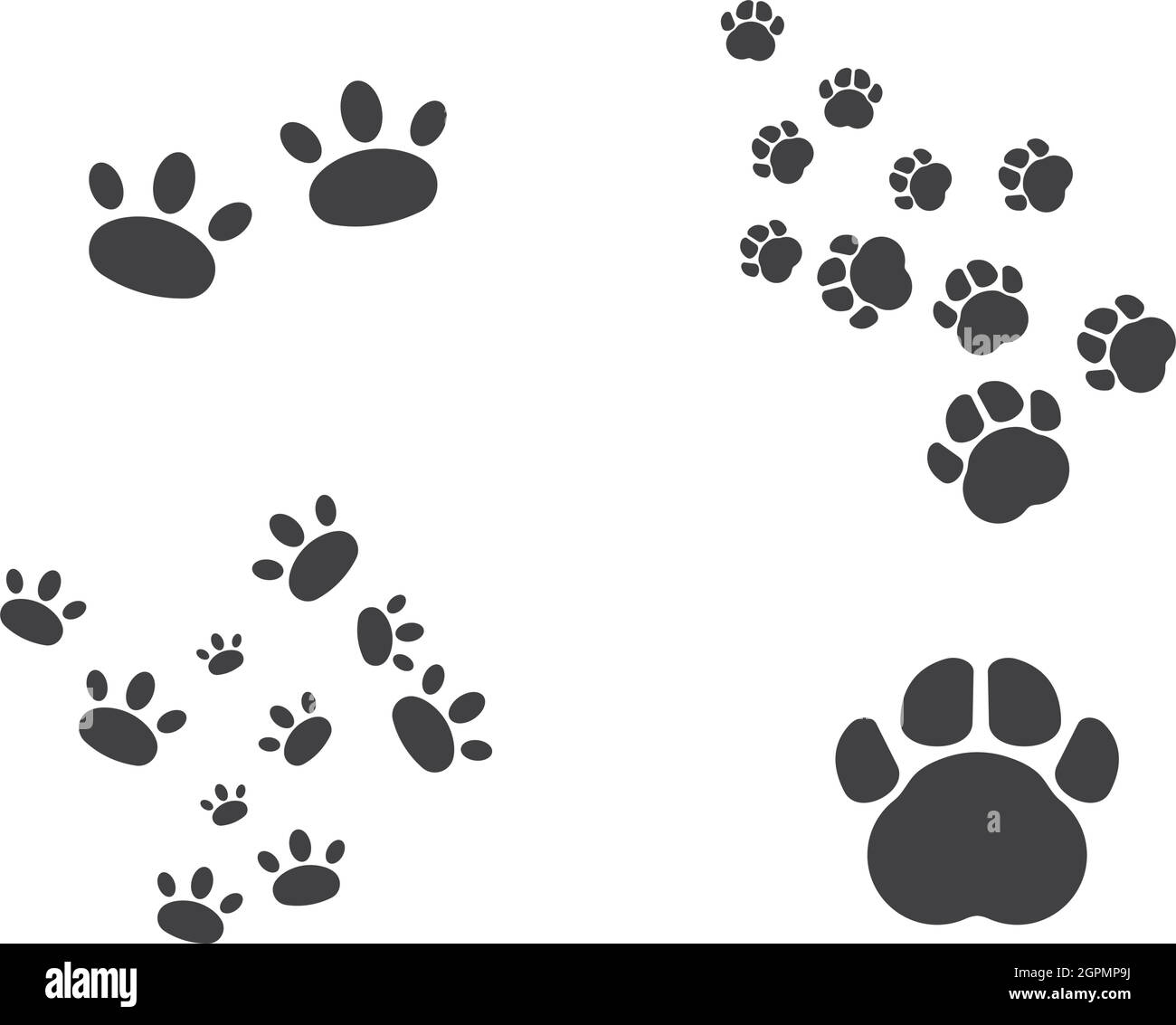 paw vector icon of pet illustration design Stock Vector Image & Art - Alamy