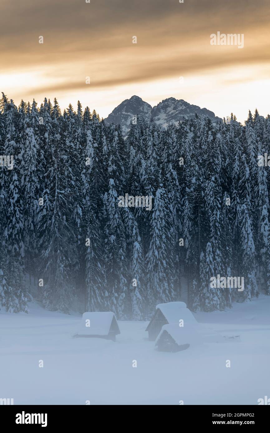 After the snowfall. Dusk on the Sappada plain. Magic of winter Stock ...