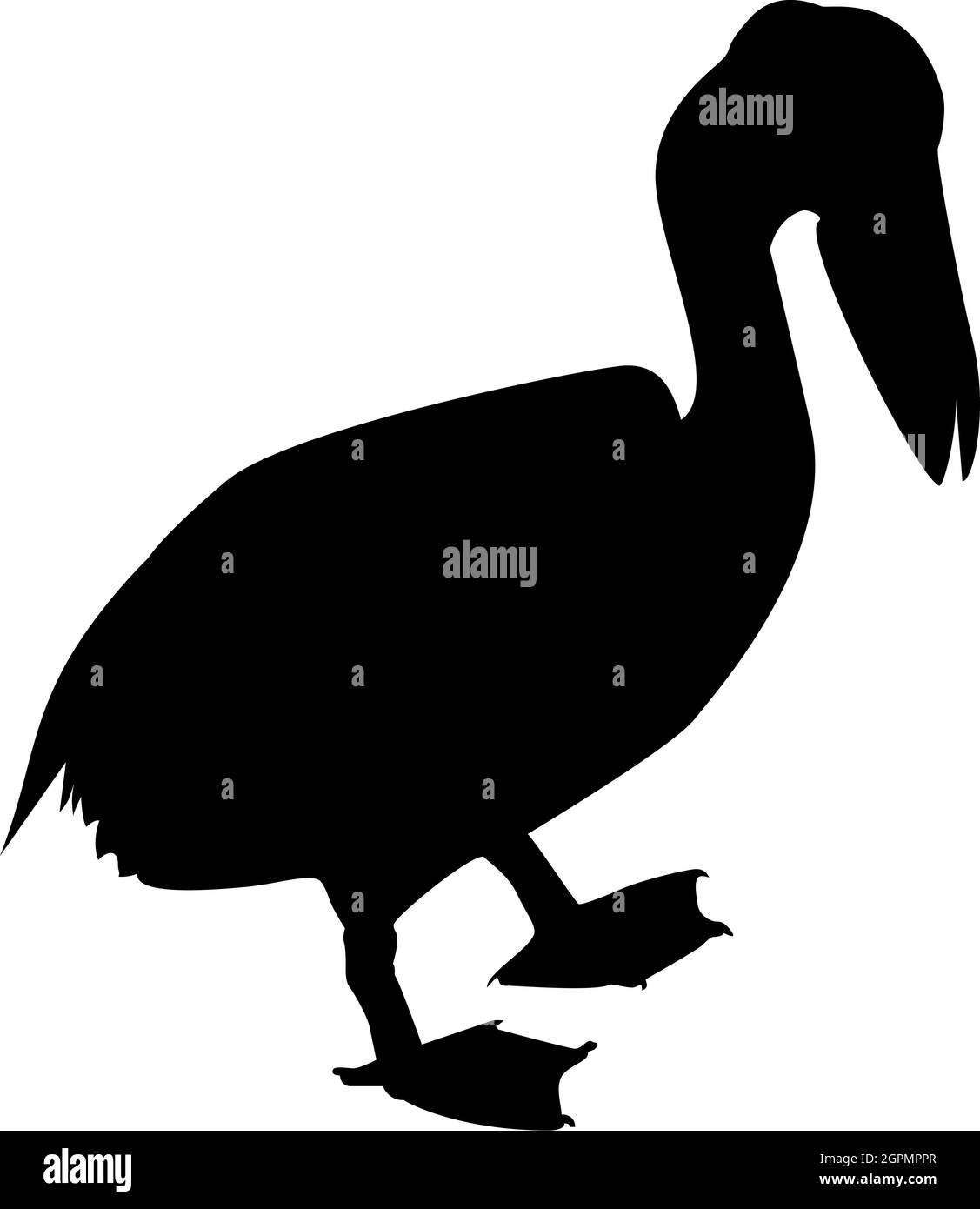 Silhouette pelican bird seabird waterbird black color vector ...