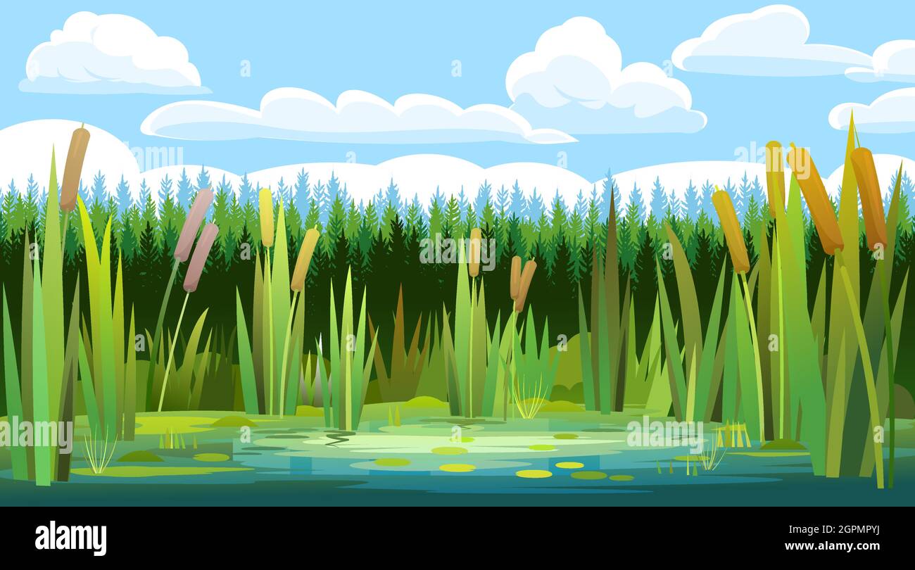Landscape with a swampy shore of a lake or river. Coast is overgrown ...