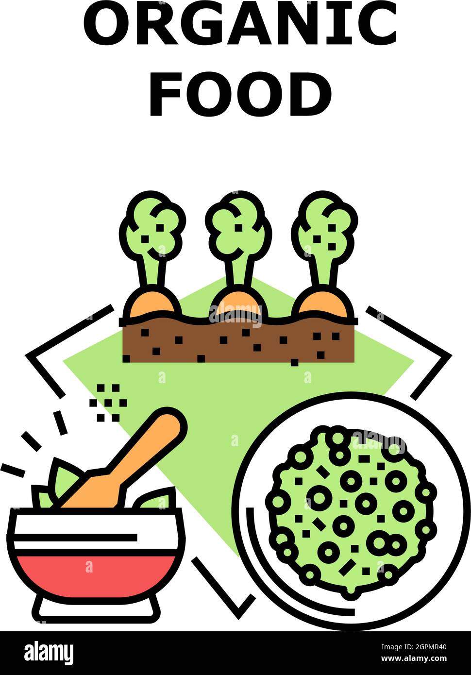 Organic Food Vector Concept Color Illustration Stock Vector Image & Art ...