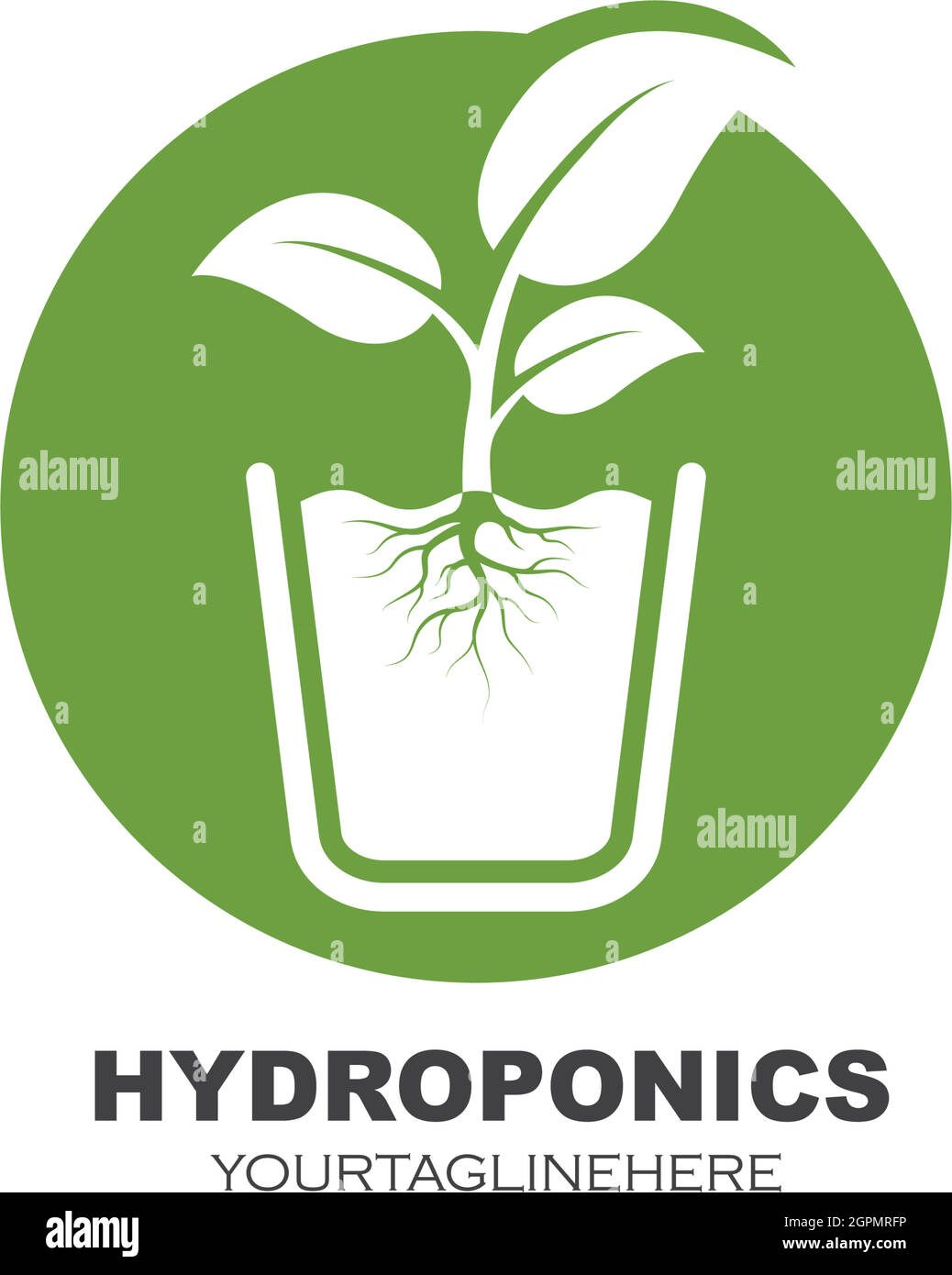 hydroponics logo vector illustration design Stock Vector Image & Art ...