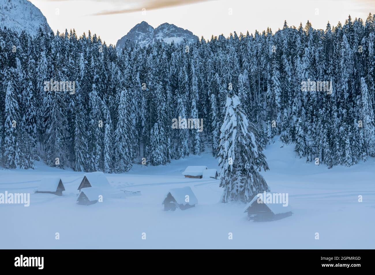 After the snowfall. Dusk on the Sappada plain. Magic of winter Stock ...