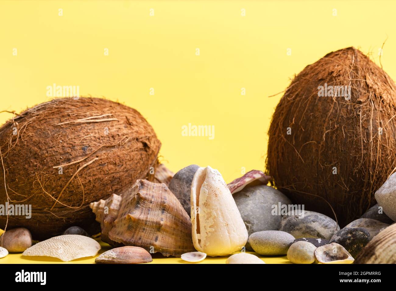 Coconuts, rocks and shells on a yellow background .Marine theme Stock ...