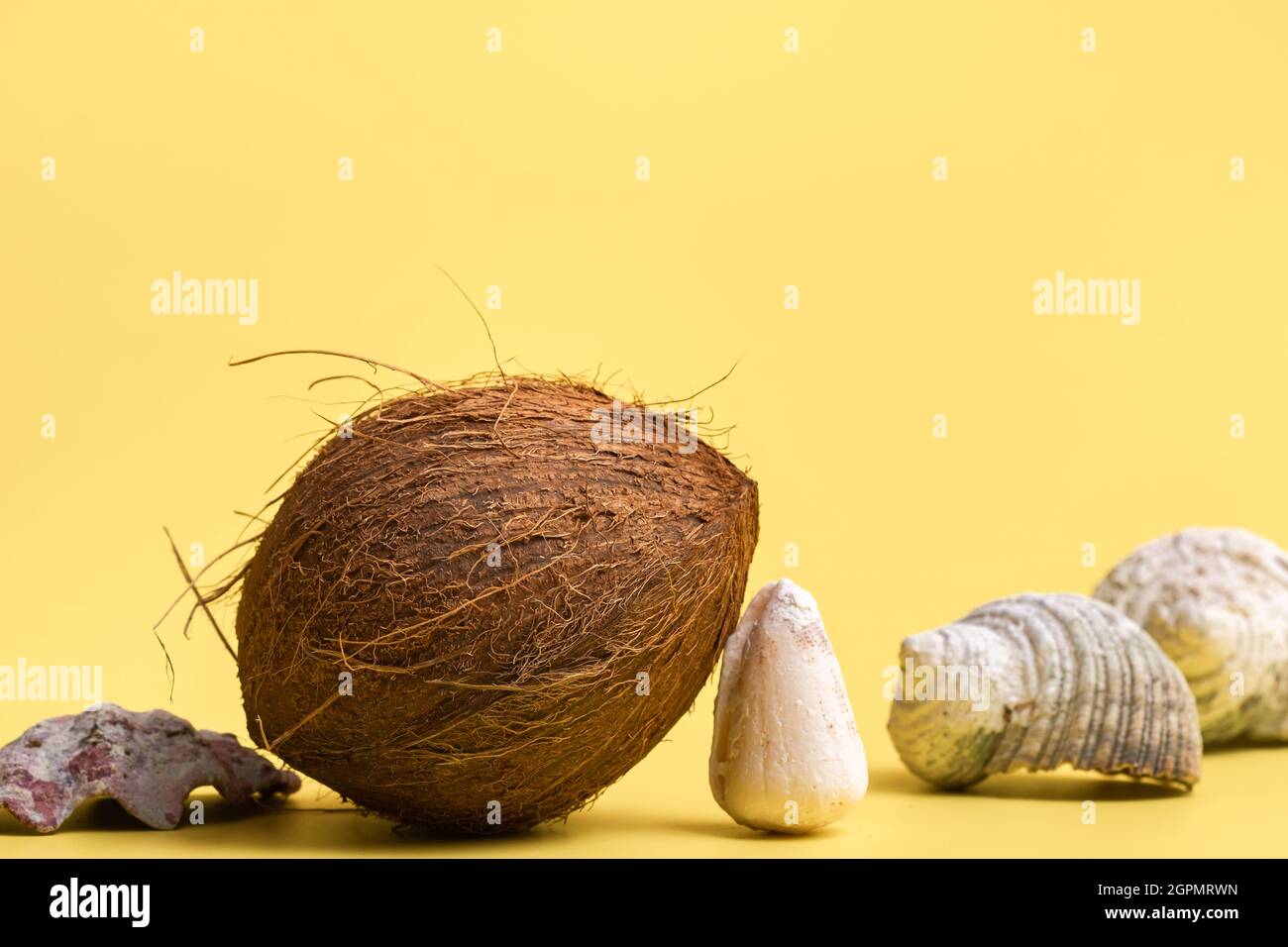 Whole Coconuts and shells on a yellow background .Marine theme Stock ...
