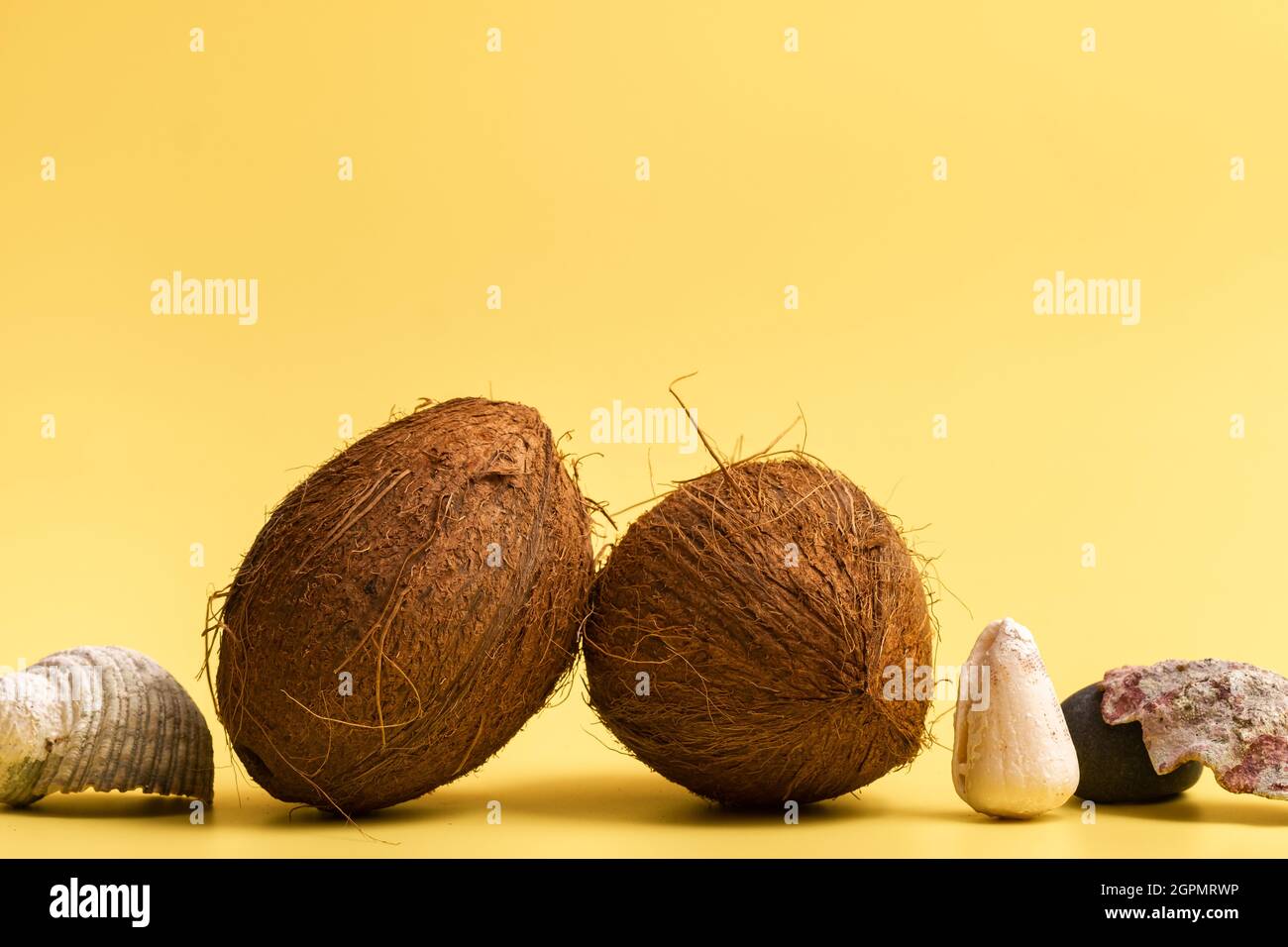Whole Coconuts and shells on a yellow background .Marine theme Stock ...