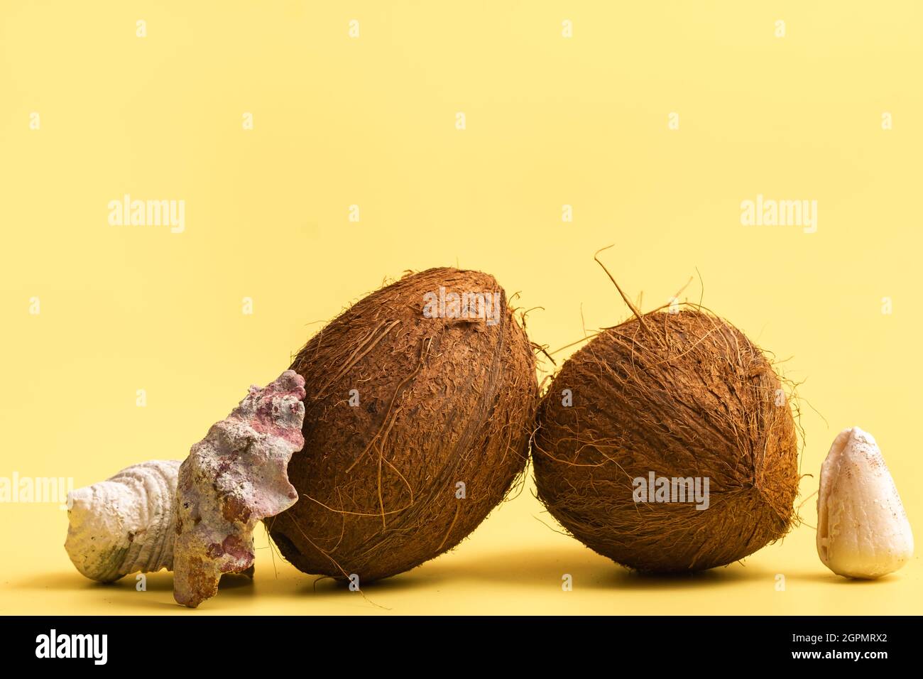 Whole Coconuts and shells on a yellow background .Marine theme Stock ...