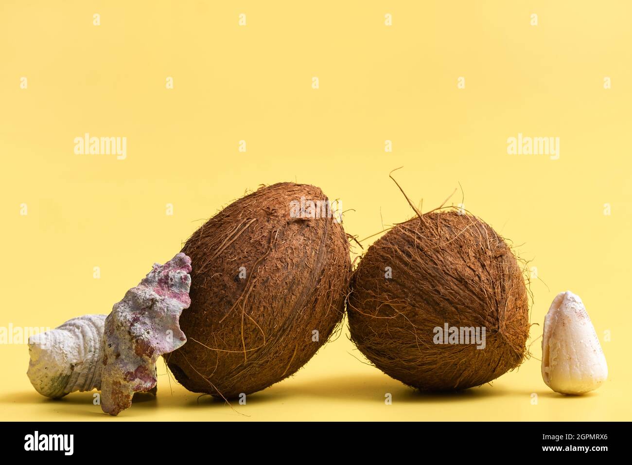 Whole Coconuts and shells on a yellow background .Marine theme Stock ...