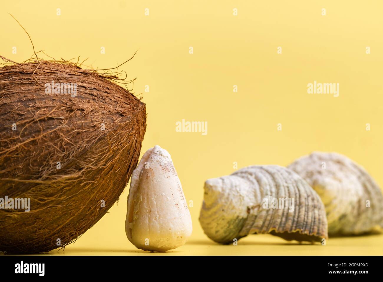 Whole Coconuts and shells on a yellow background .Marine theme Stock ...