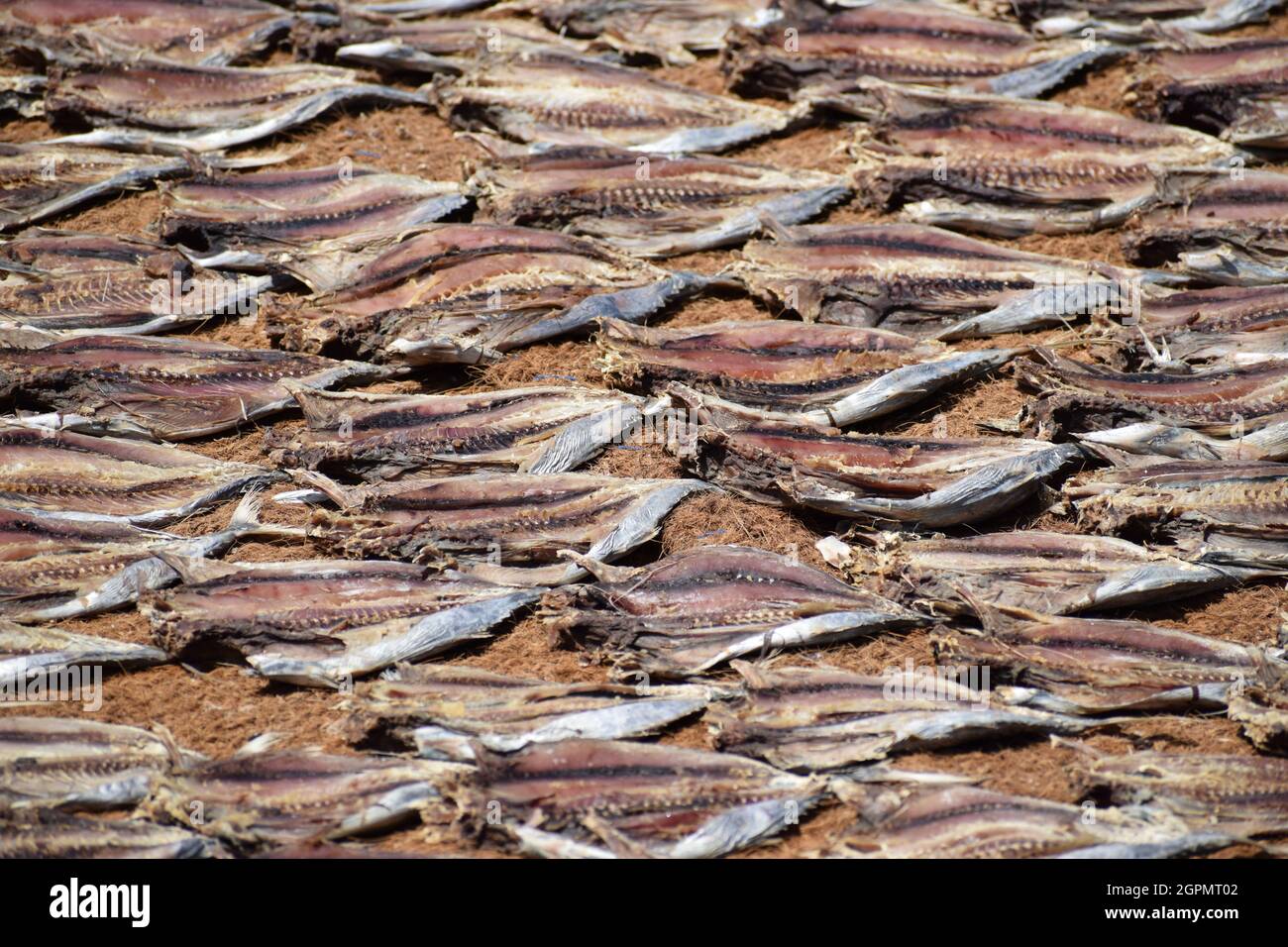 Dry fish ground Stock Photo - Alamy