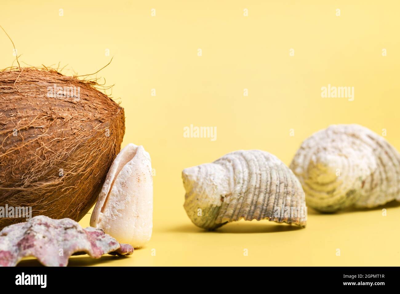 Whole Coconuts and shells on a yellow background .Marine theme Stock ...