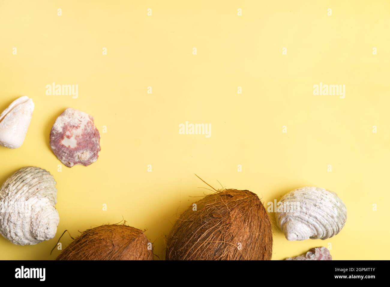 Whole Coconuts and shells on a yellow background .Marine theme Stock ...