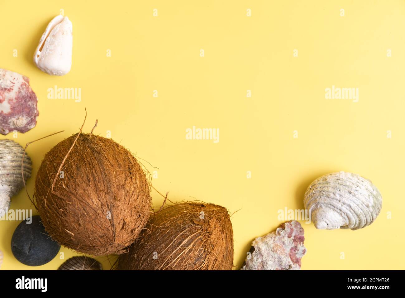Whole Coconuts and shells on a yellow background .Marine theme Stock ...