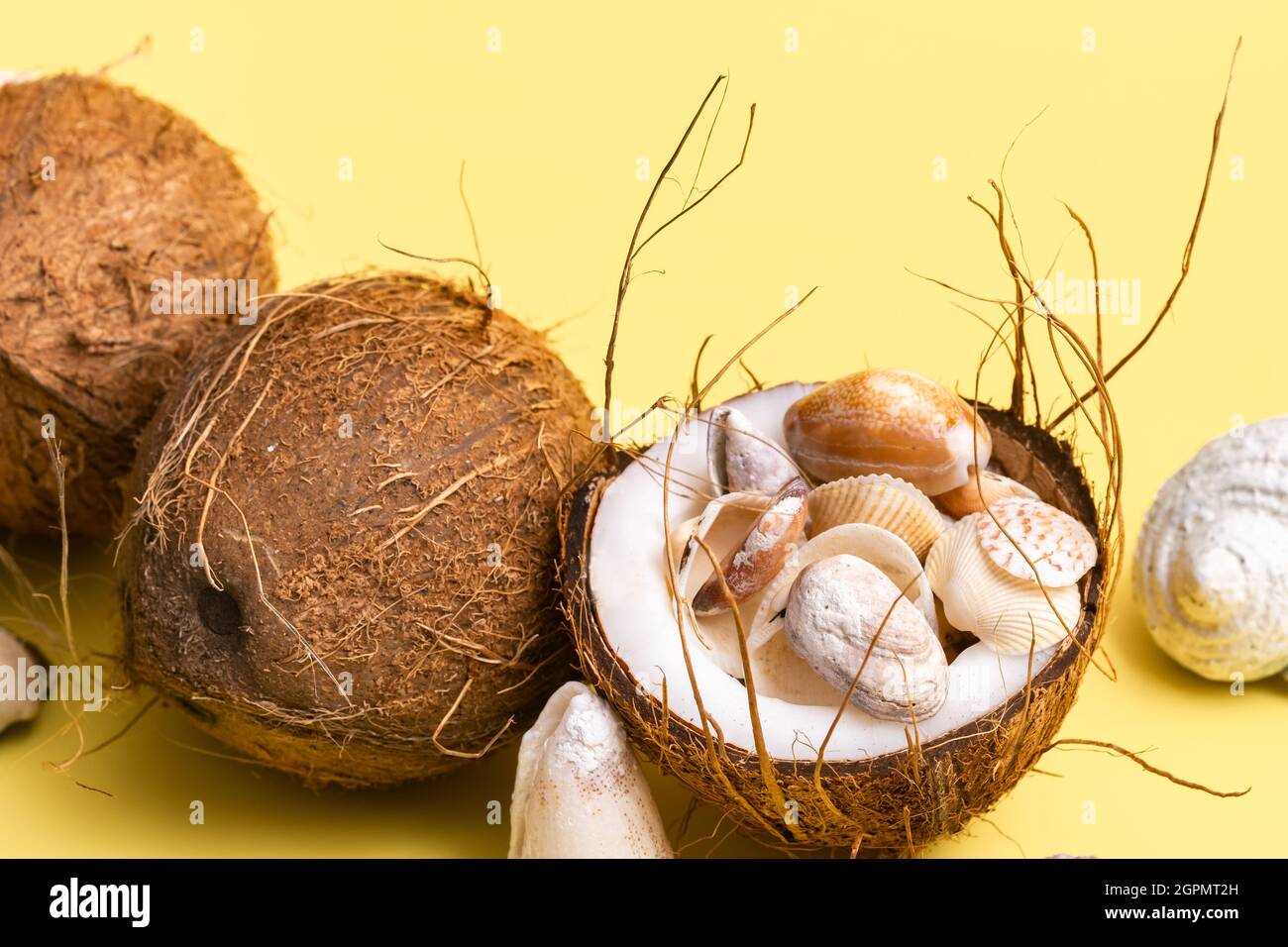 coconuts and shells on a yellow background .Marine theme Stock Photo ...