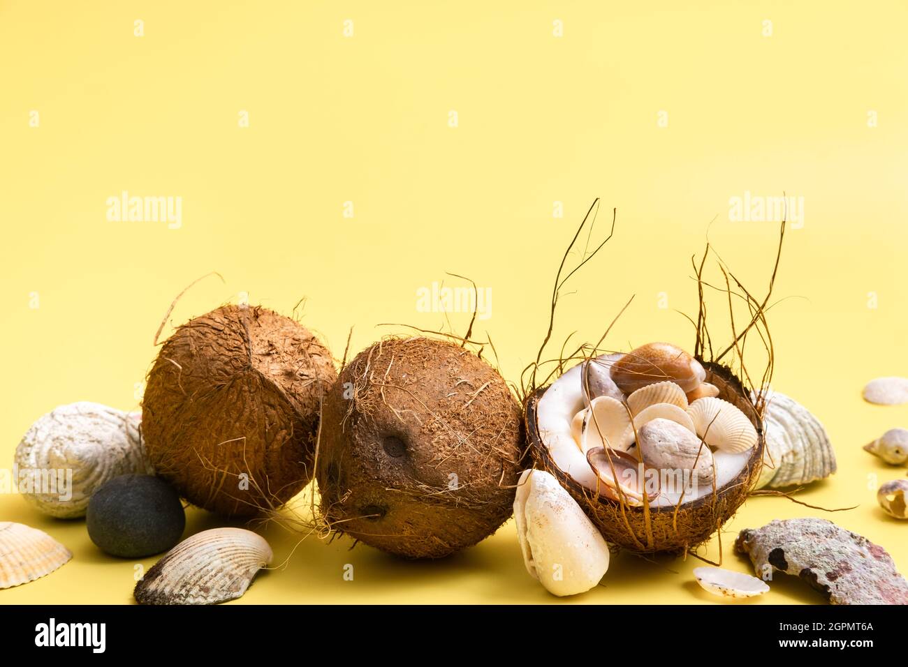 coconuts and shells on a yellow background .Marine theme Stock Photo ...