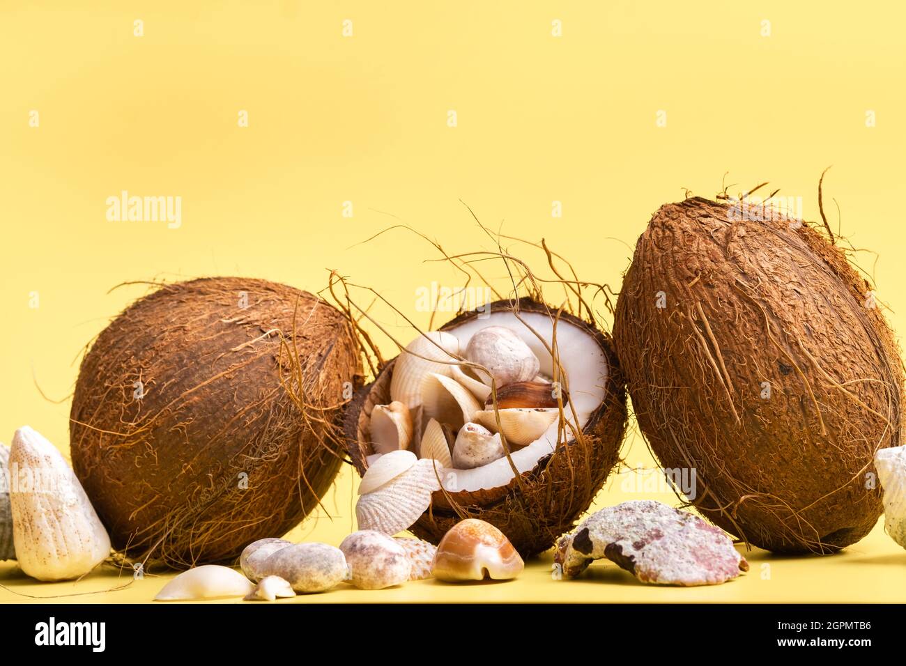 coconuts and shells on a yellow background .Marine theme Stock Photo ...