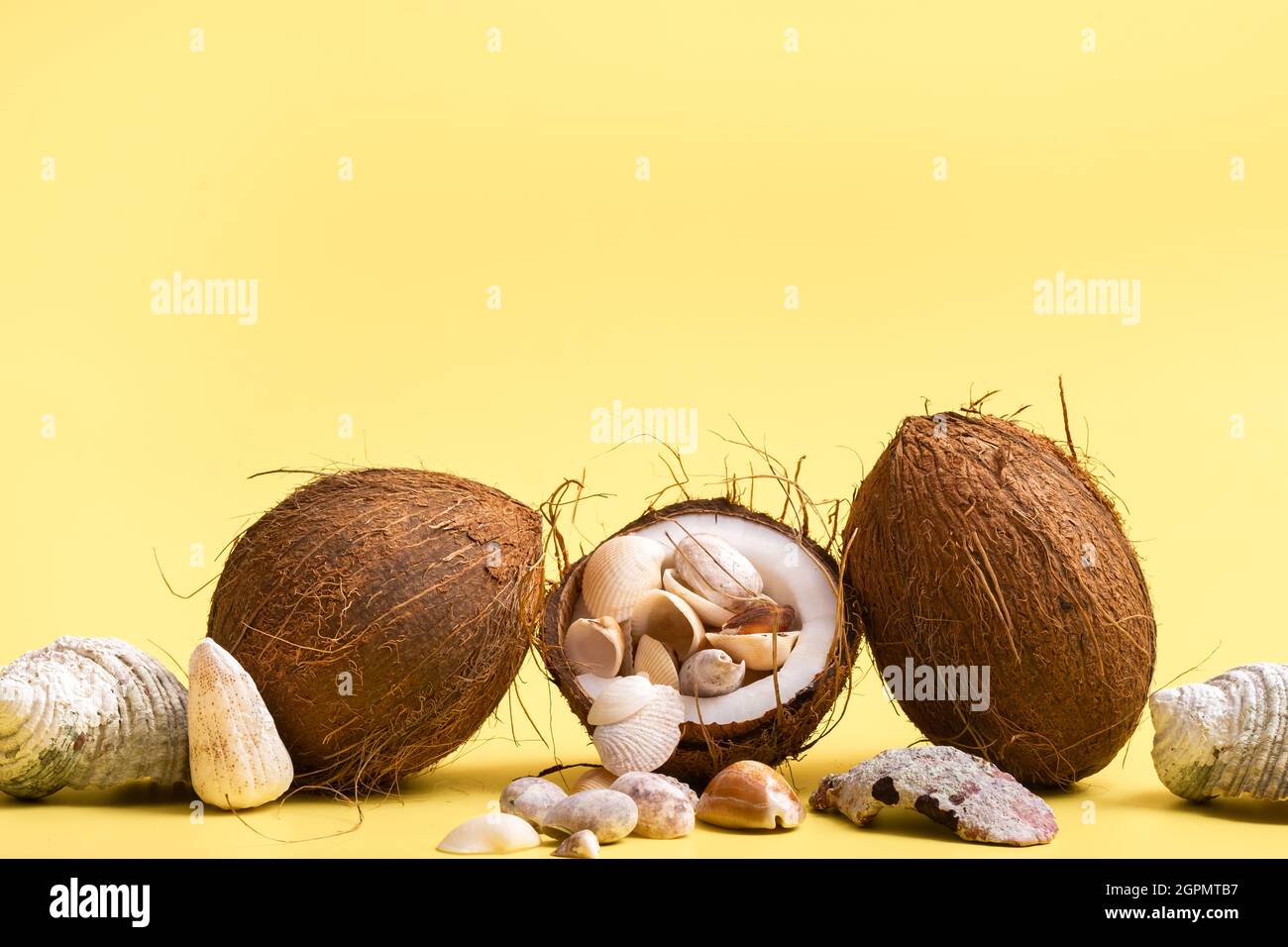 coconuts and shells on a yellow background .Marine theme Stock Photo ...