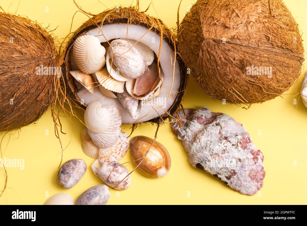 coconuts and shells on a yellow background .Marine theme Stock Photo ...