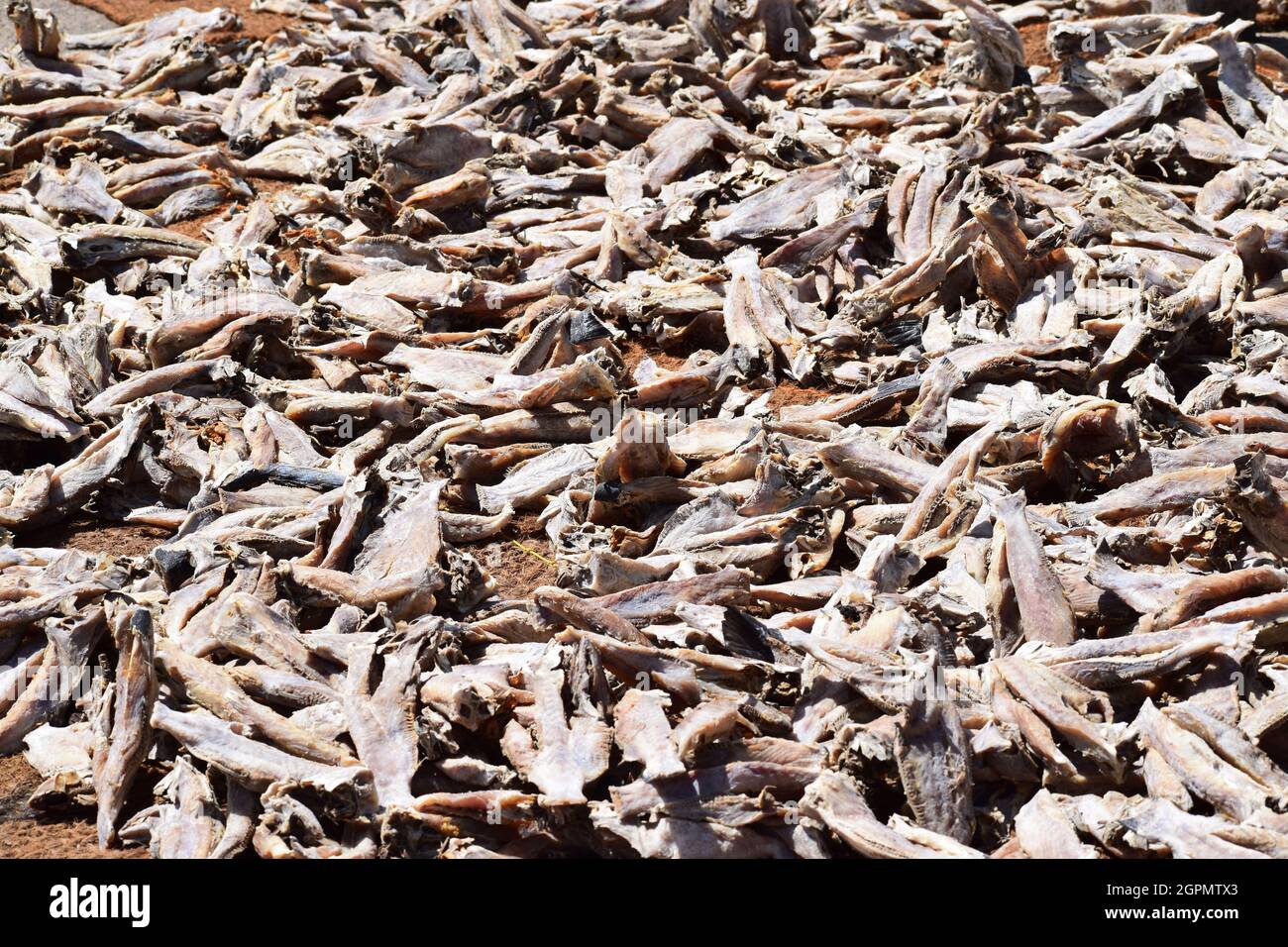 Dry fish ground Stock Photo - Alamy