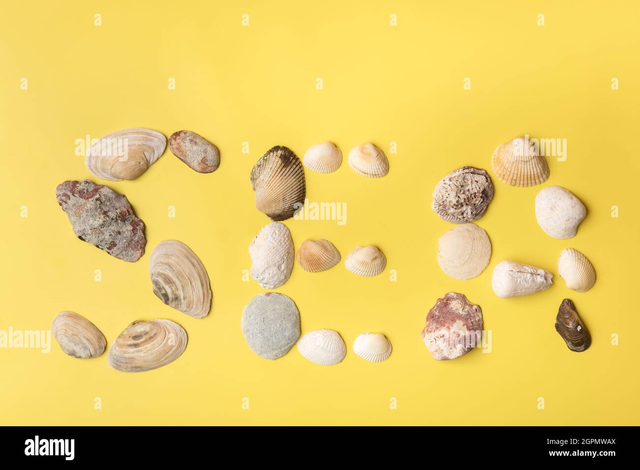 The inscription of the word sea of shells on a yellow background.Travel ...