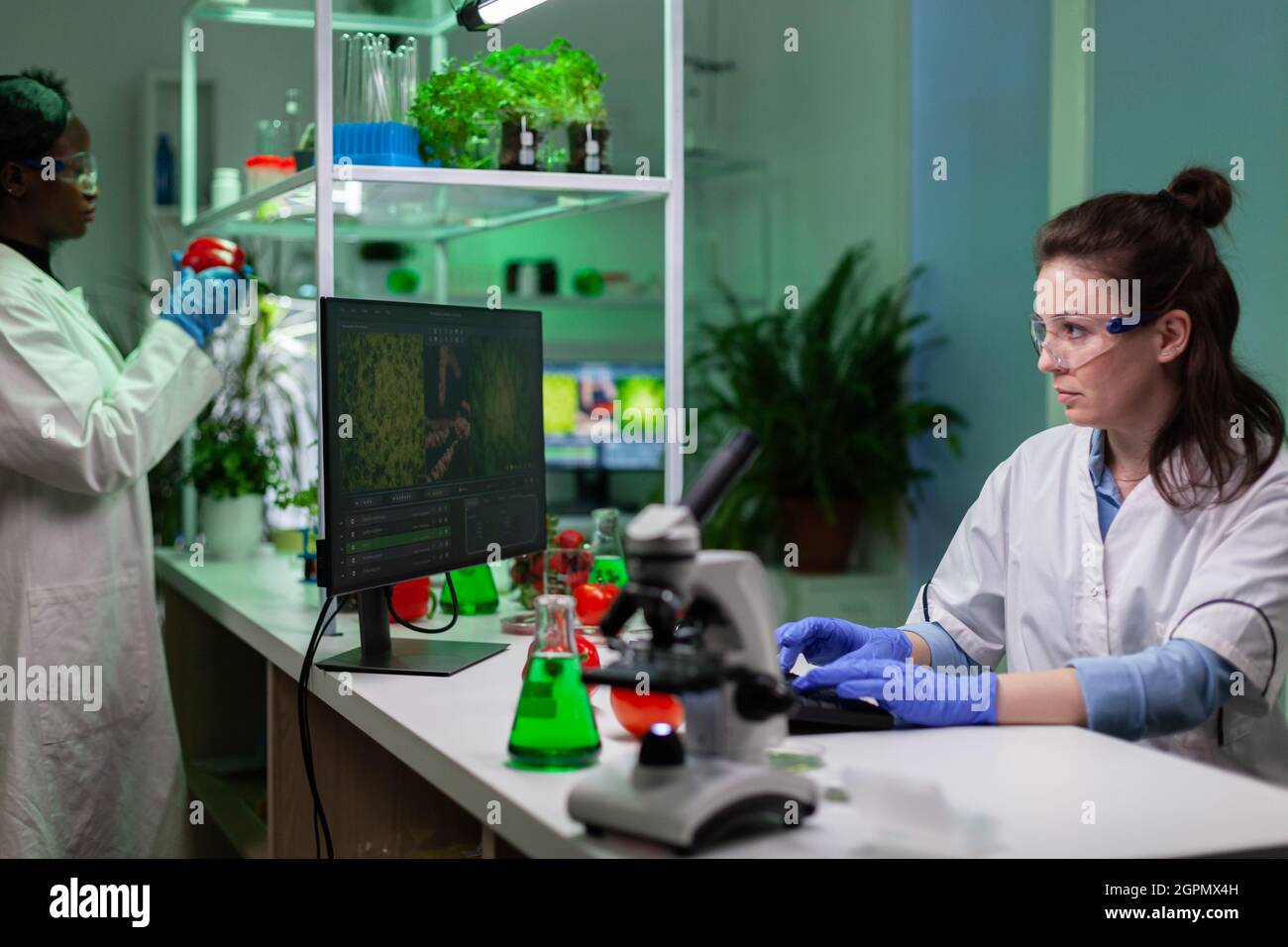 Biologist researcher typing gmo expertise hi-res stock photography and ...